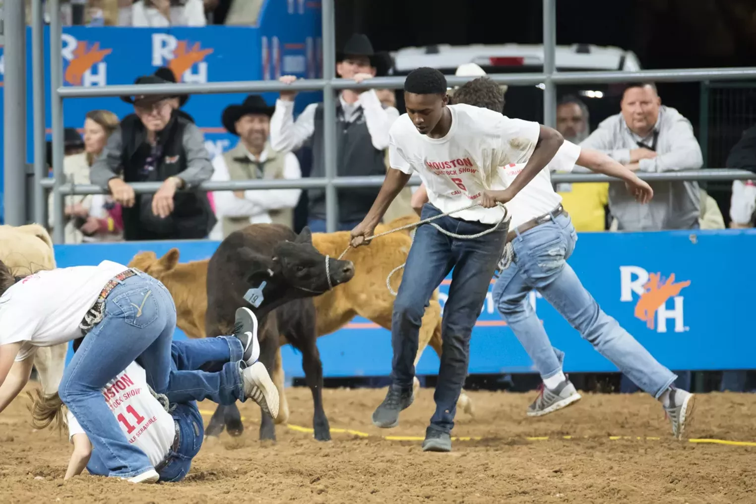 Houston Rodeo Exhibitions & Contestant Events Guide
