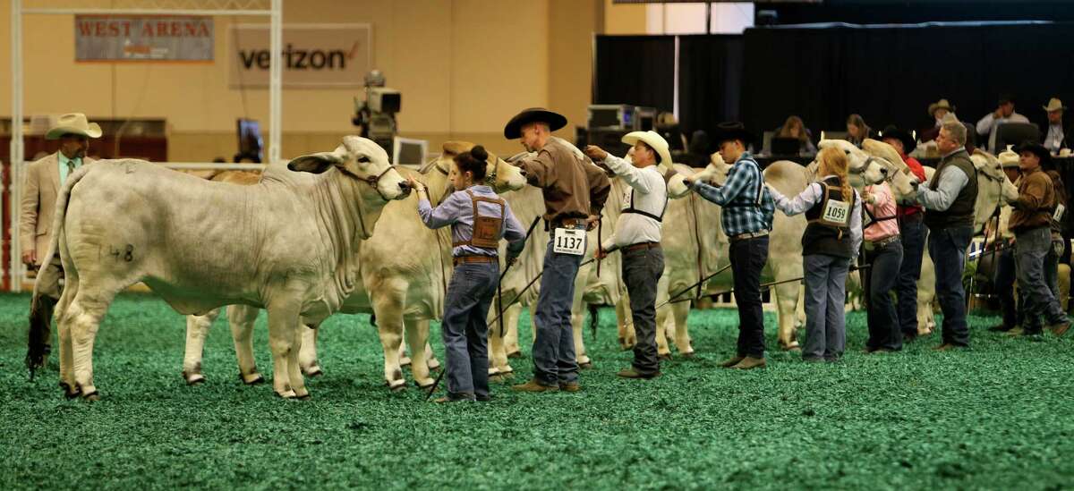 Houston Rodeo Exhibitions & Contestant Events Guide